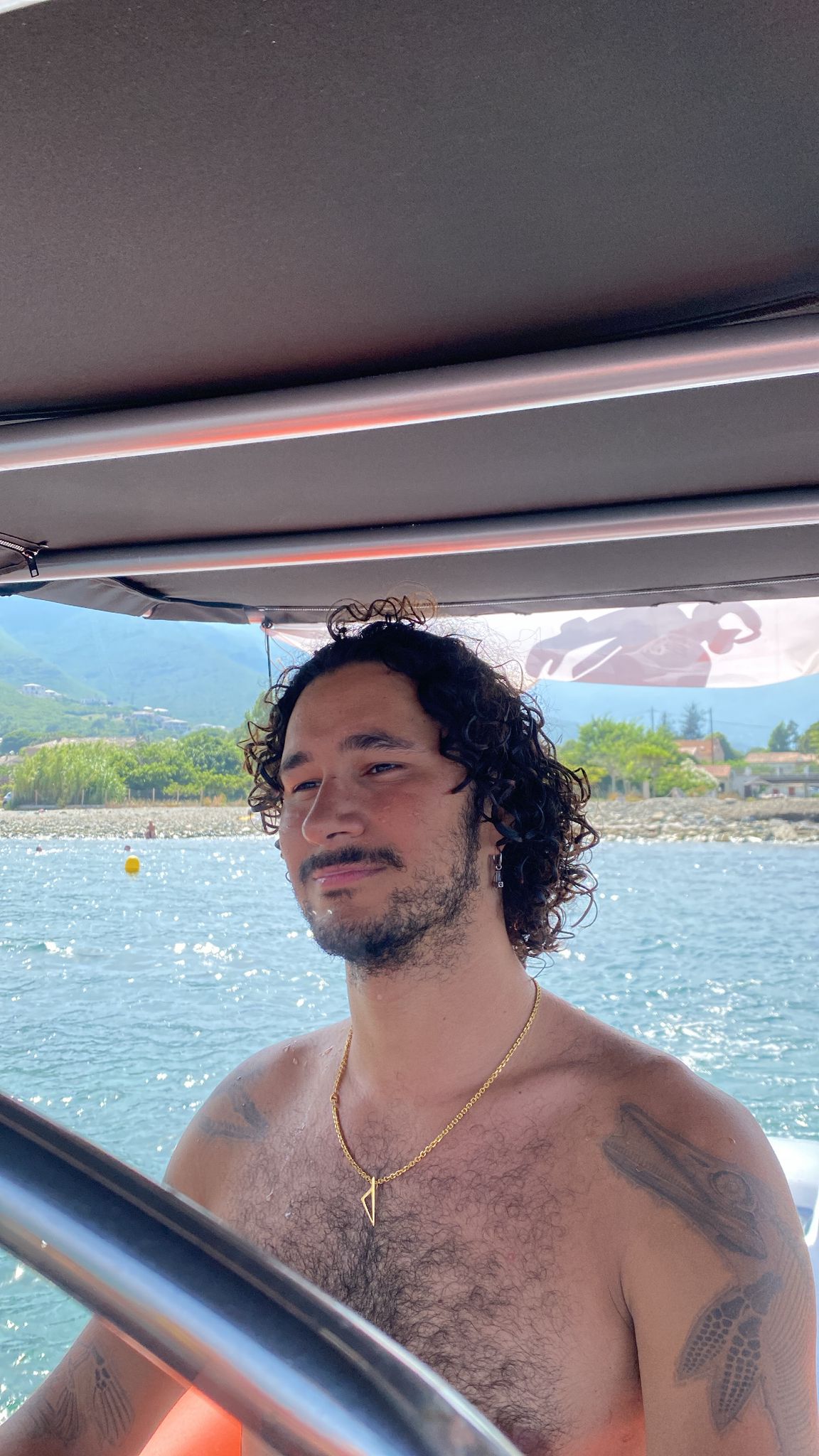 Pierre Letailleur - Dollfin